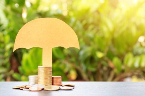 Whole Life Insurance Vs. Roth IRA | Which is Better?